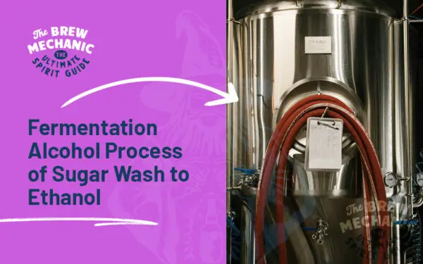 The Fermentation Alcohol Process of Sugar Wash to Ethanol